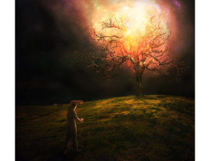 “Is not my Word like fire, declares the Lord?” – Jeremiah 23:29 ...