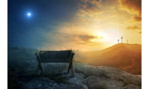 From the Manger to the Cross – Living Bulwark